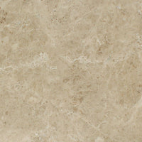 24 x 24 Polished Cappuccino Marble Tile Sample - Tilephile